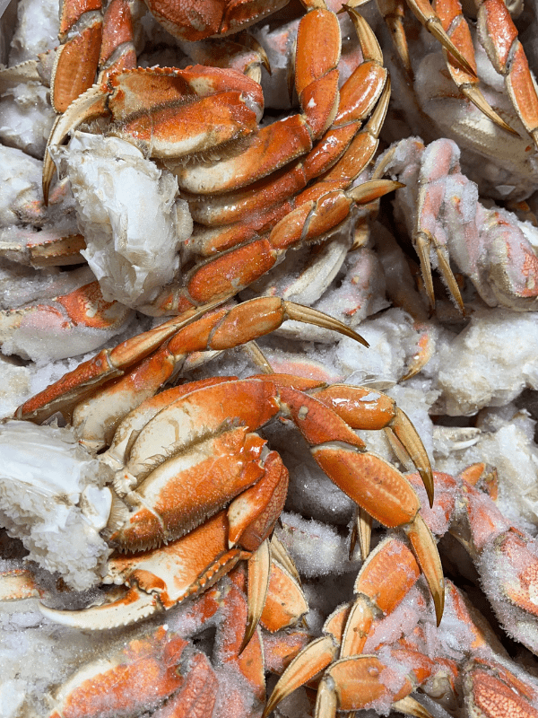 Premium Shellfish Seafood from Hopkins Seafood