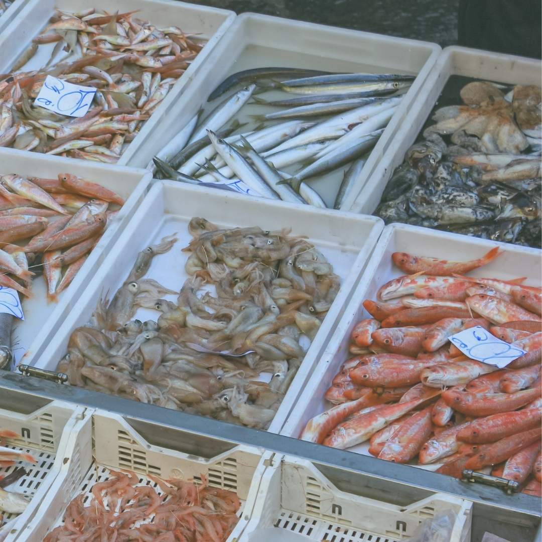 Buy Premium Seafood & Fish - Hopkins Seafood