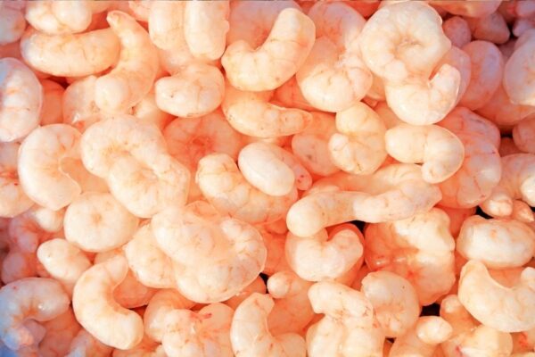 Frozen Rock Shrimp - Shell-Off - 5 Lbs. Block - Hopkins Seafood