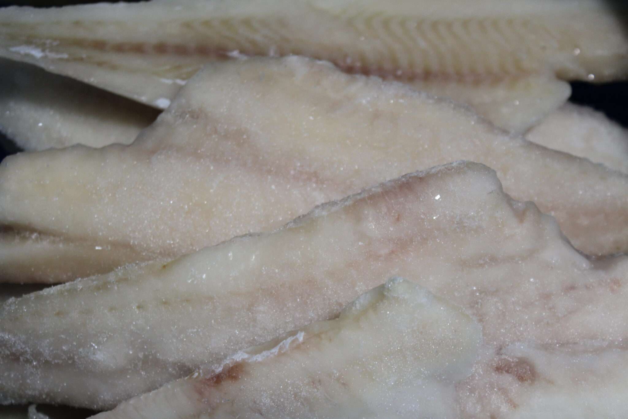 IQF Haddock Fillets (8-10 Oz.) - 10 Lbs. Case - Hopkins Seafood